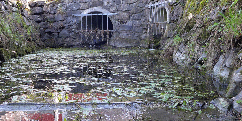 Eawag - Swiss Federal Institute of Aquatic Science and Technology - Eawag