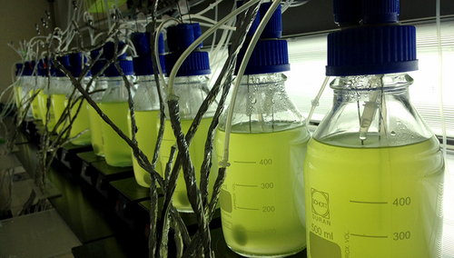 Eawag - Swiss Federal Institute of Aquatic Science and Technology - Eawag