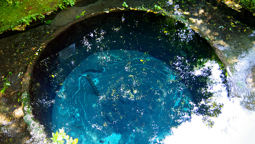 Eawag - Swiss Federal Institute of Aquatic Science and Technology - Eawag