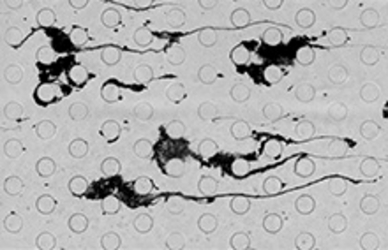 Subsurface Environmental Processes - Eawag